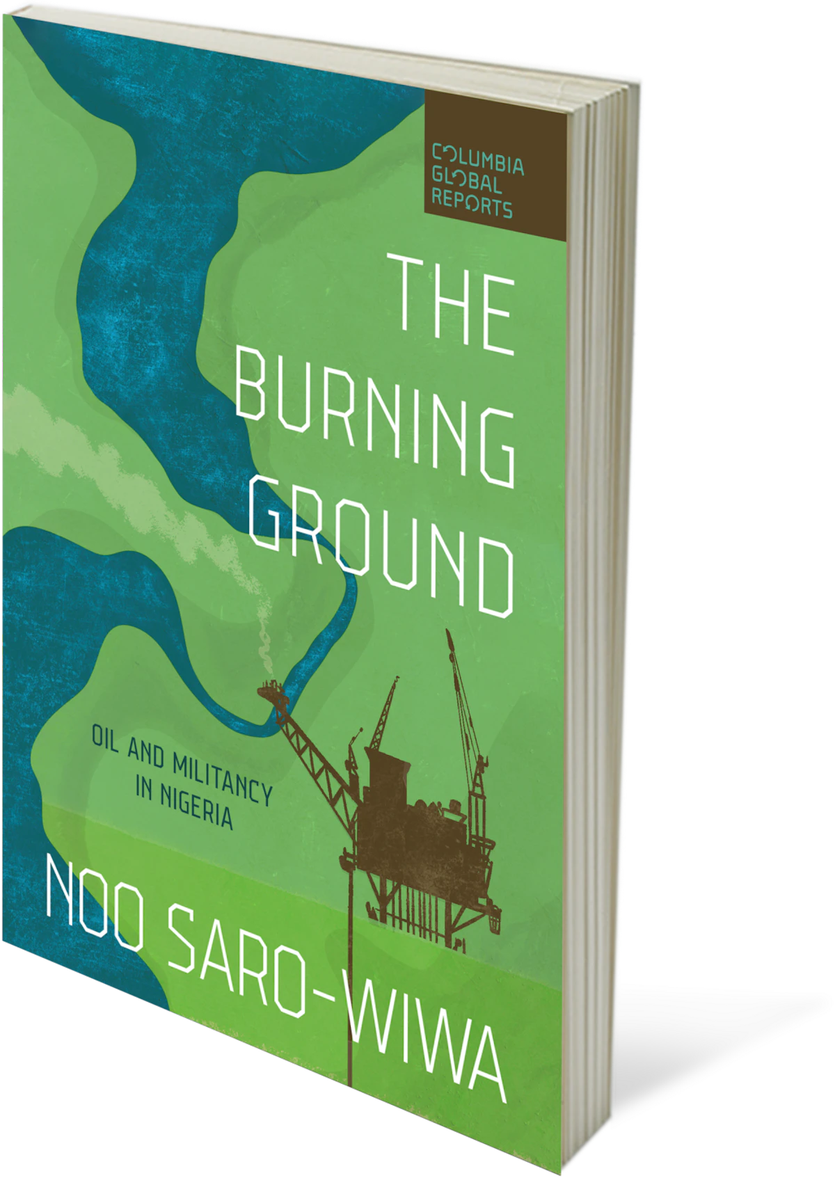 The Burning Ground | Columbia Global Reports